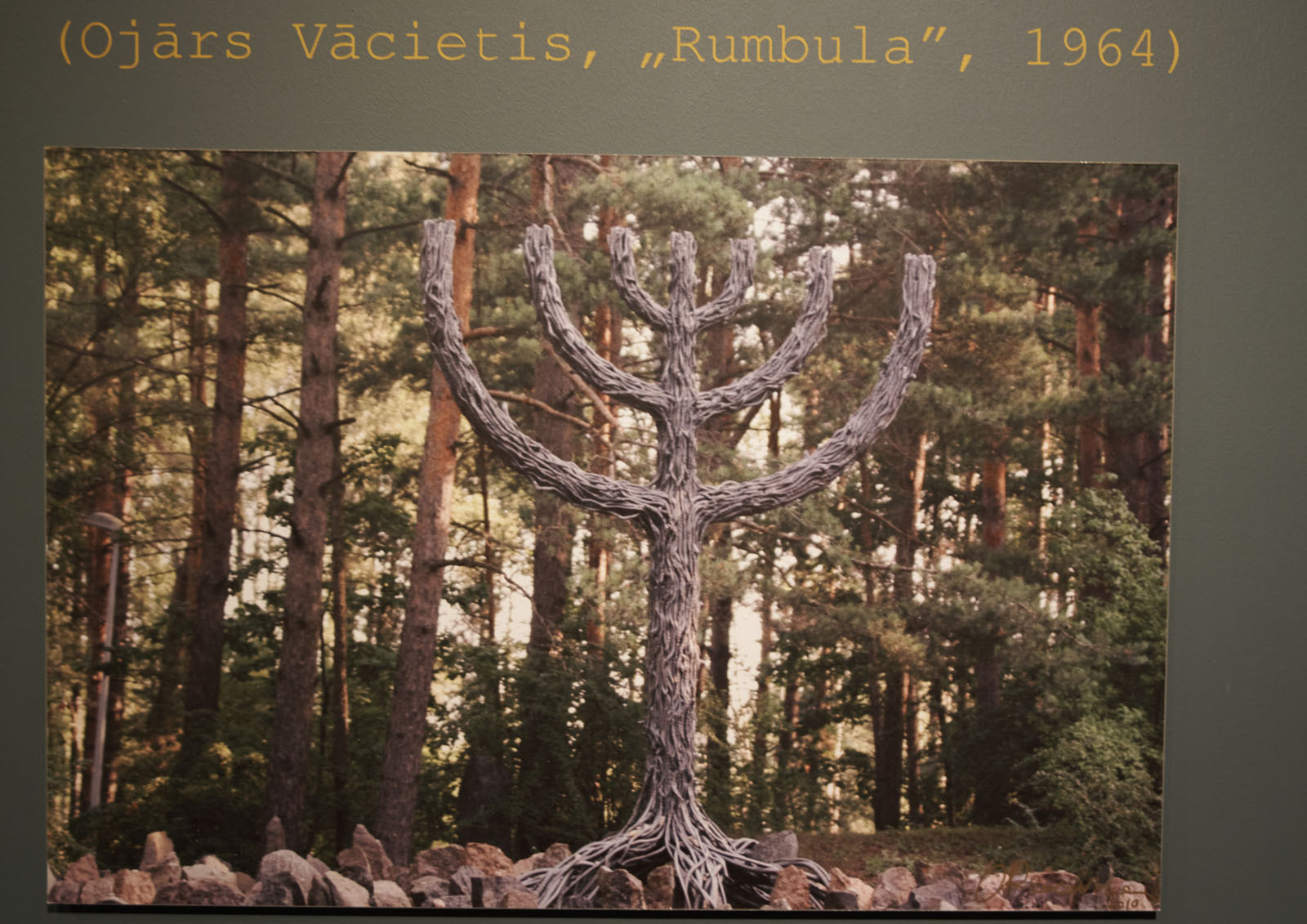 Ricordo delle vittime dell'eccidio di Rumbula: volti e storie [galleria ...