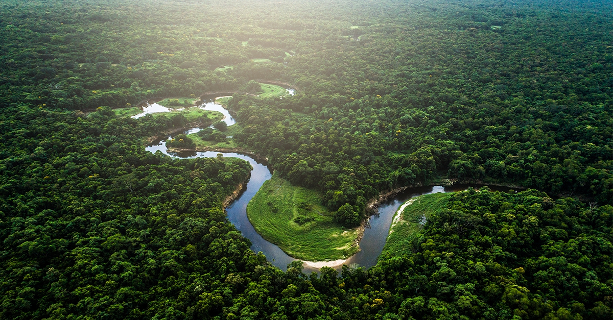 Amazzonia, viaggio nelle ferite di una terra depredata - Volti ...